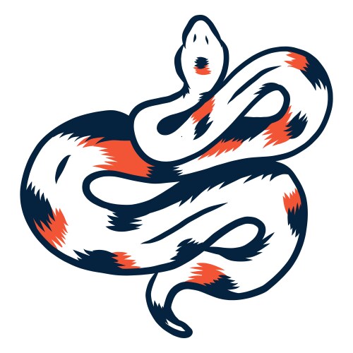 Snake Top View Vector Images (80)