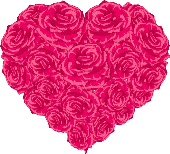 Heart of red rose bud isolated on white Royalty Free Vector