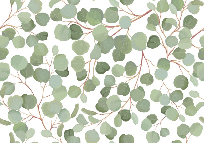 Eucalyptus Vector Images (over 20,000)