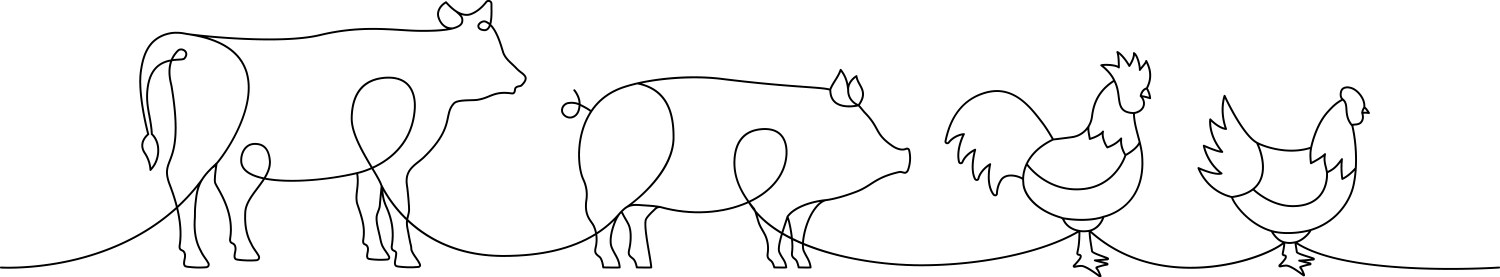 Sheep one line colored continuous drawing Vector Image