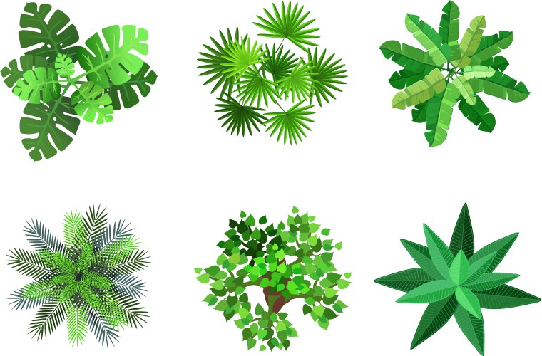 Tree top view for landscape Royalty Free Vector Image