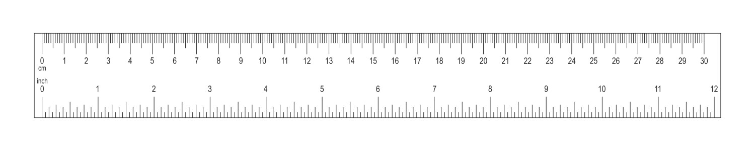 Inch and metric rulers centimeters inches Vector Image