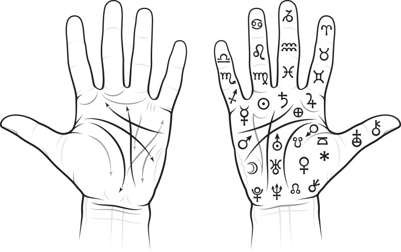 Palm Reading Chart Template Royalty Free Vector Image