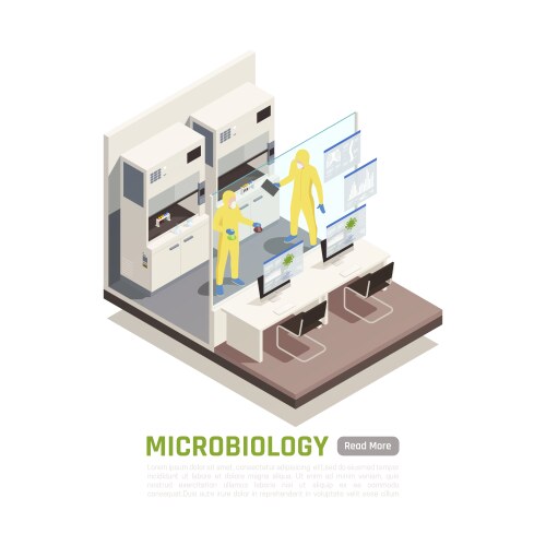 Microbiology lab isometric flowchart Royalty Free Vector