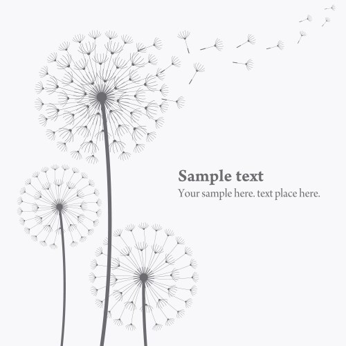 Dandelion Vector Images (over 14,000)