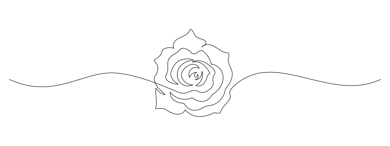 Rose Stem Line Drawing Vector Images (over 3,600)