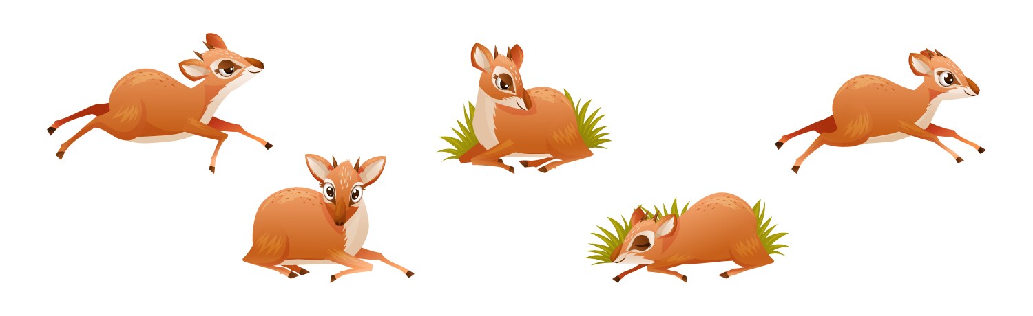 Standing brown dik-dik as african small antelope Vector Image