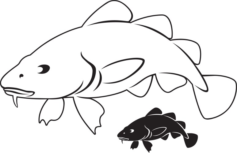 Cod black and white Royalty Free Vector Image - VectorStock