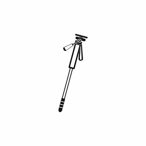 Walking stick Royalty Free Vector Image - VectorStock