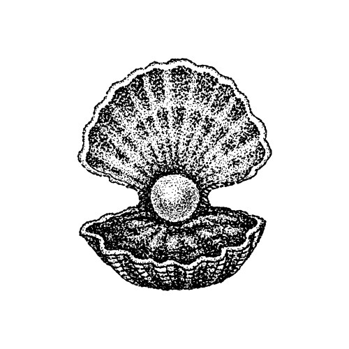 Sea shell with pearl hand drawn sketch Royalty Free Vector