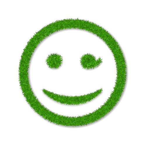 Green grass face smile smiley grassy icon Vector Image