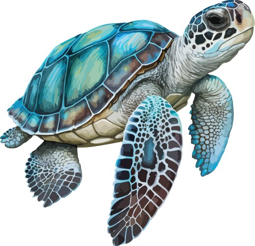 Sea turtle realistic artistic colored drawing Vector Image