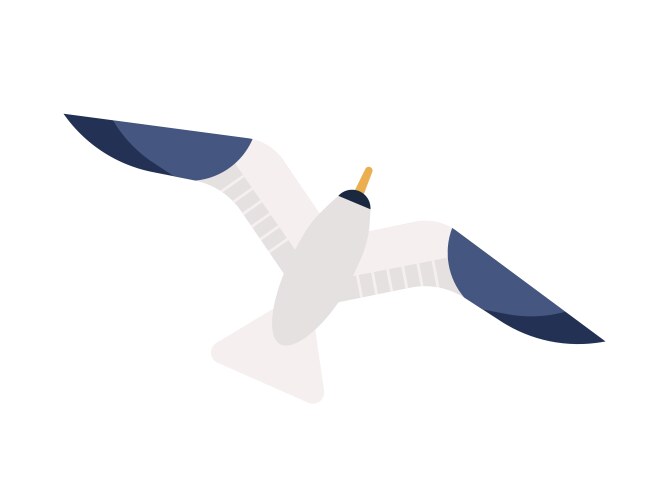 Bird Flying Top View Vector Images (over 140)