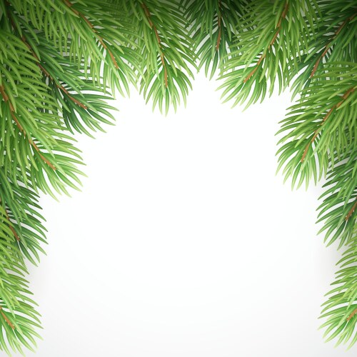Spruce Vector Images (over 62,000)