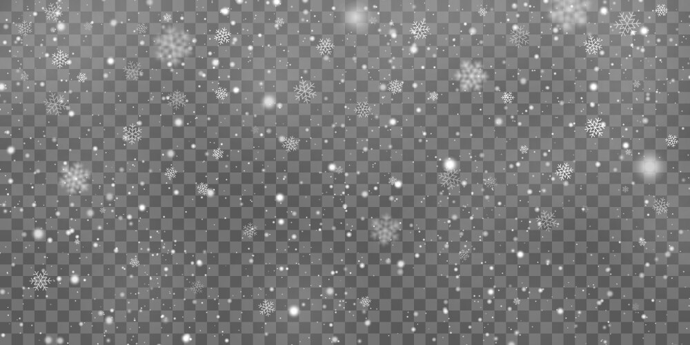 Falling winter snow flakes on transparent Vector Image