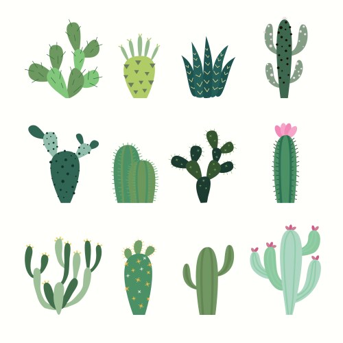 Cactus Vector Images (over 91,000)