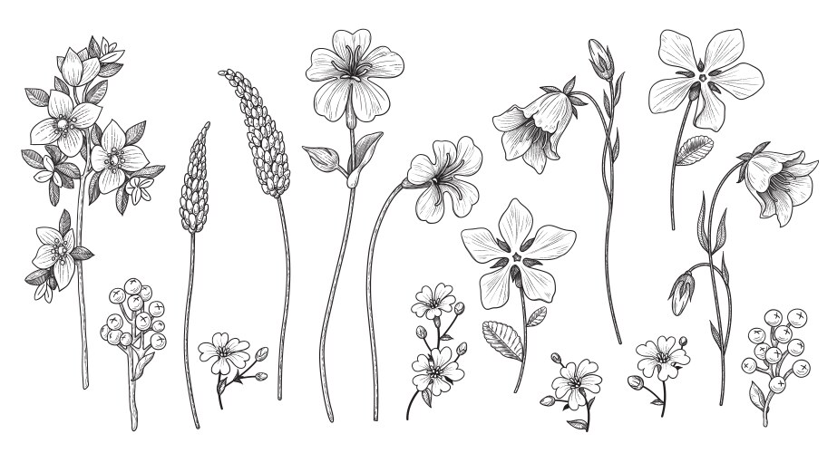 Seamless border with wild flowers and butterflies Vector Image