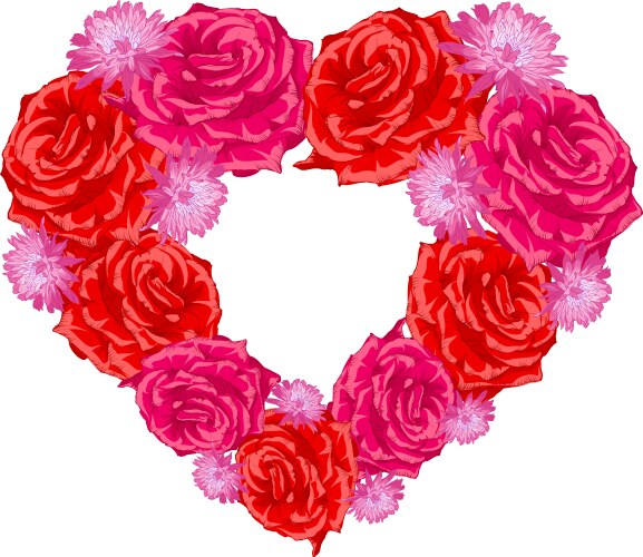 Heart of red rose bud isolated on white Royalty Free Vector