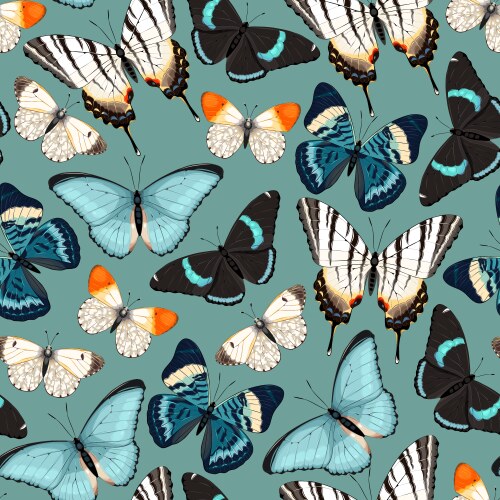 Butterfly and moth wings seamless pattern Vector Image