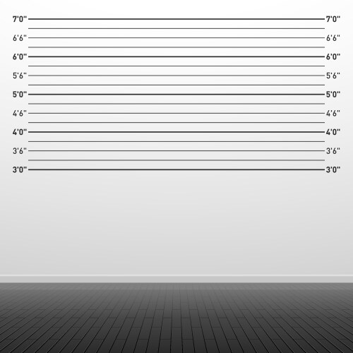 Blank criminal police lineup or mug shot Vector Image