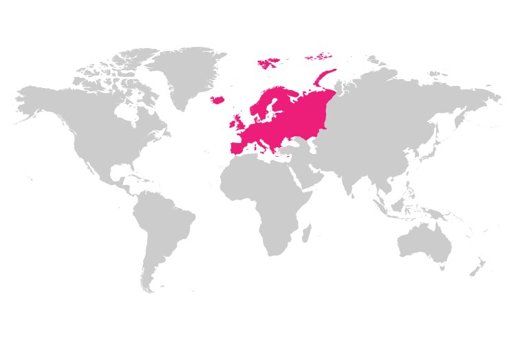 World Map Contour Vector Images (over 86,000)