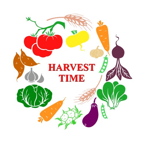 Set autumnal harvest Royalty Free Vector Image