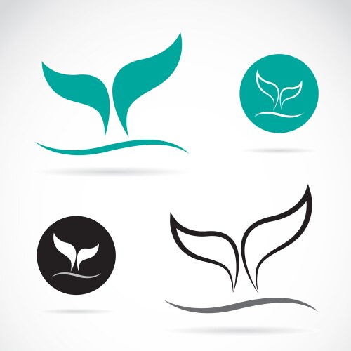 Whale Tail Logo Set Royalty Free Vector Image - VectorStock