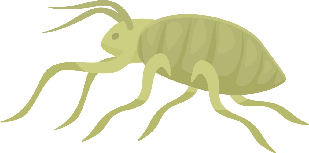 Green beetle walking with long legs insect Vector Image