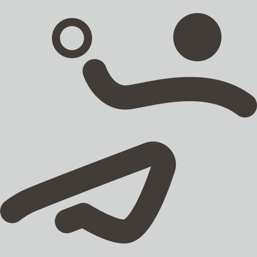 Handball icons Royalty Free Vector Image - VectorStock