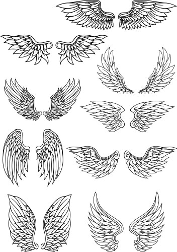 Heraldic wings set Royalty Free Vector Image - VectorStock