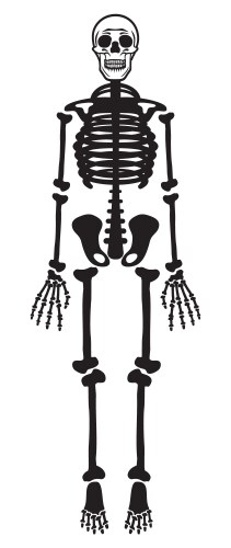 Halloween black skeleton Royalty Free Vector Image