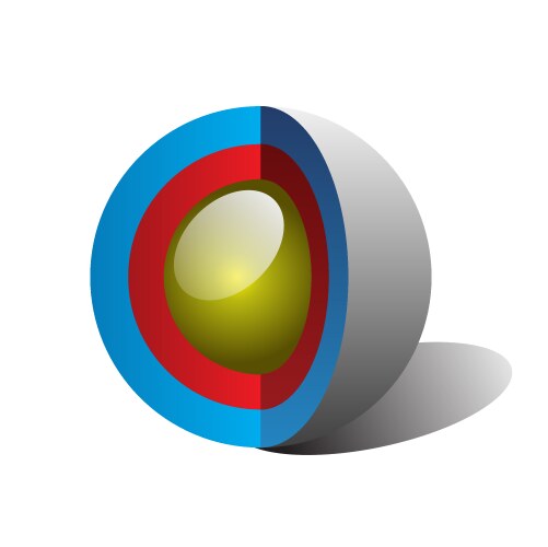 Cross section silver sphere ball blank option Vector Image