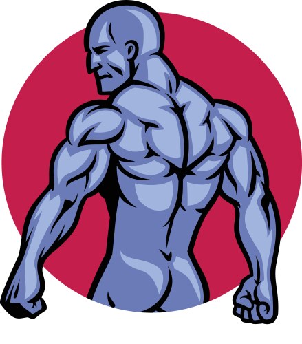 Muscle bodybuilder posing Royalty Free Vector Image