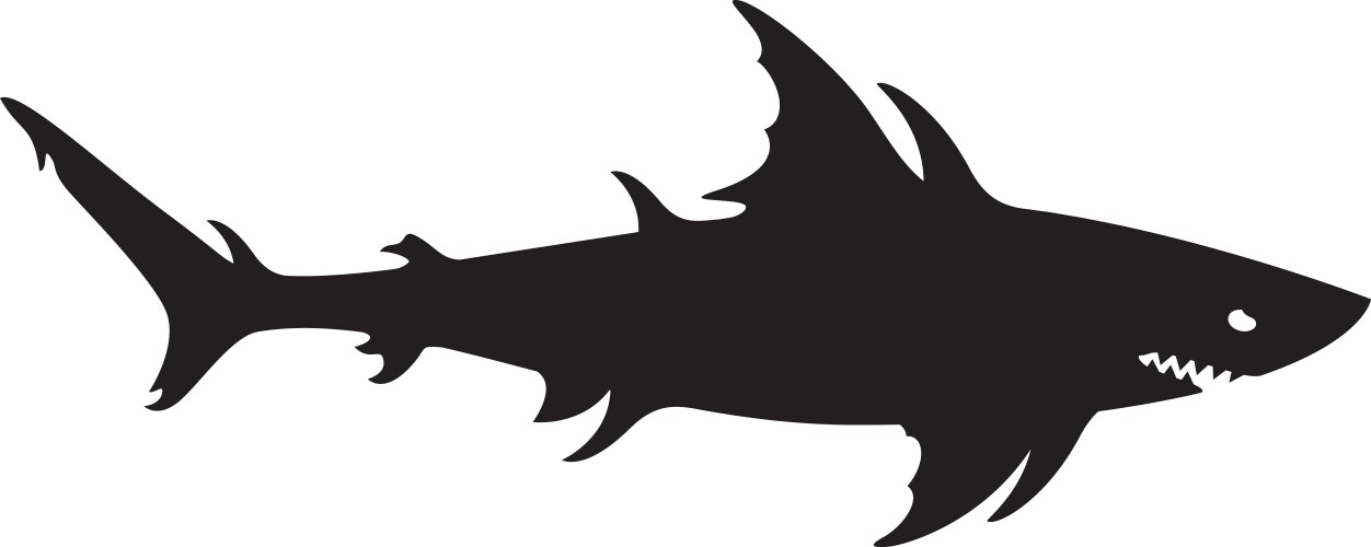 Megalodon Vector Images (over 200)