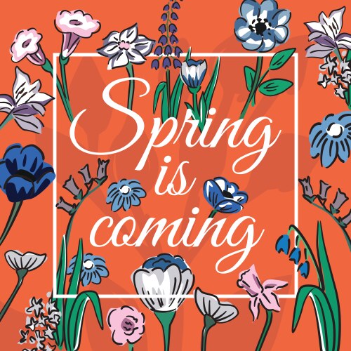 Slogan Borders Vector Images (over 1,000)