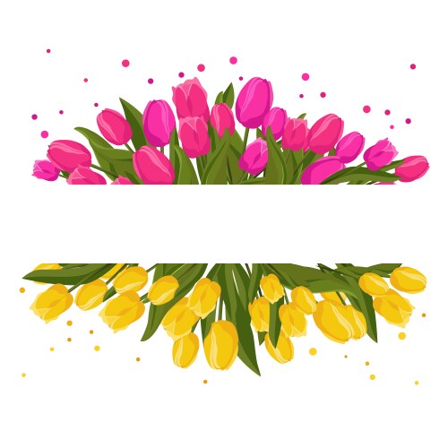 Spring rectangular frame with yellow tulip Vector Image