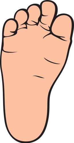 Baby footprints icon cartoon Royalty Free Vector Image