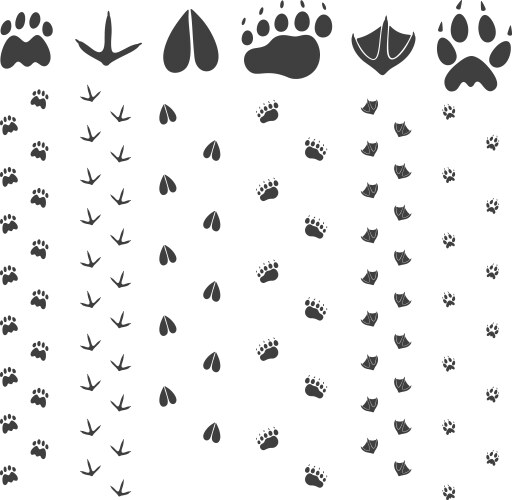 Animal paw steps seamless pattern pet Royalty Free Vector