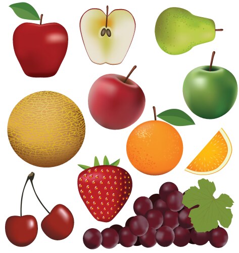 Different fruits Royalty Free Vector Image - VectorStock