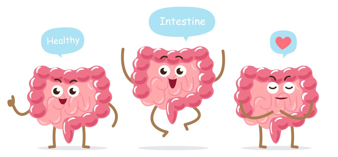 Colon Cartoon Funny Vector Images (over 190)