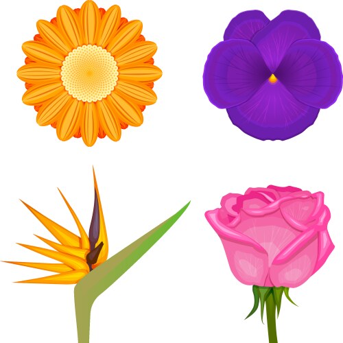 Isolated set flowers in many colors Royalty Free Vector