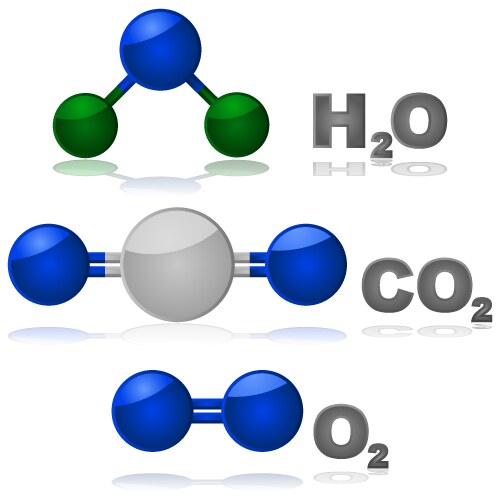 O2 oxygen molecule Royalty Free Vector Image - VectorStock