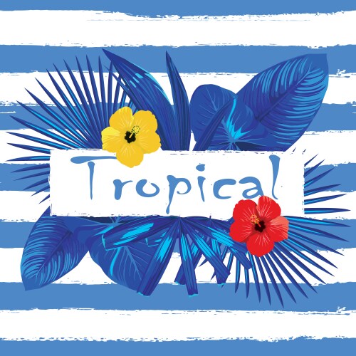 Brochure design abstract templates in blue Vector Image