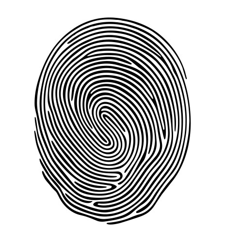 Fingerprint Pattern Vector Images (over 4,400)