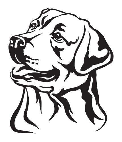 Labrador Outline Vector Images (over 4,400)