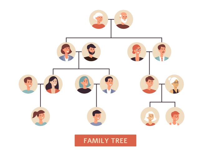 Genetic modeling family Royalty Free Vector Image