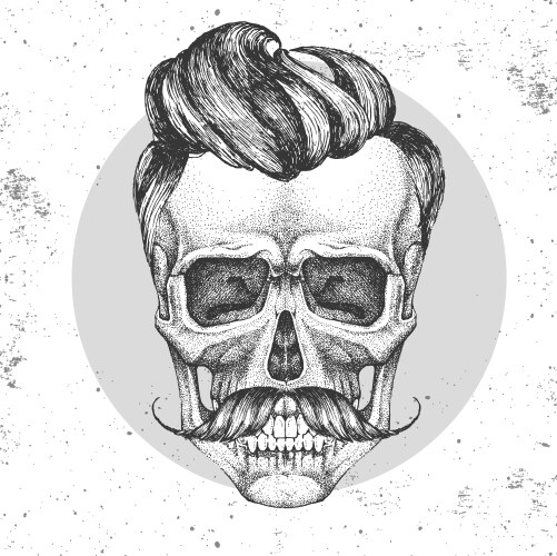 Skull drawing line work Royalty Free Vector Image