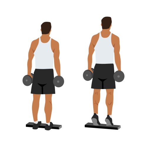 Calf Raises Exercise Vector Images (92)