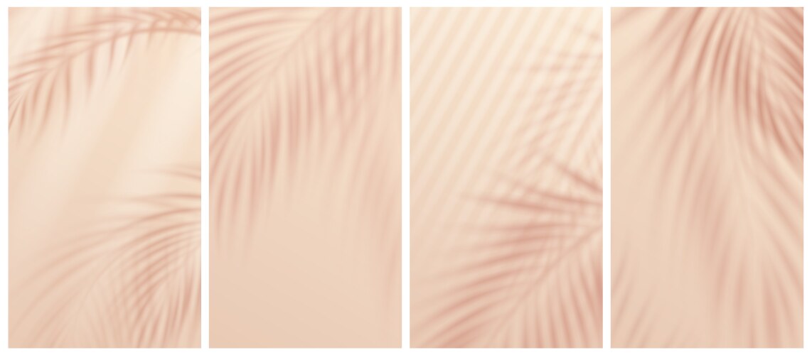 Palm Shadow Vector Images (over 7,800)