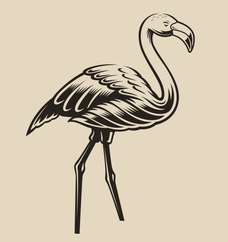 Flamingo Vector Images (over 29,000)